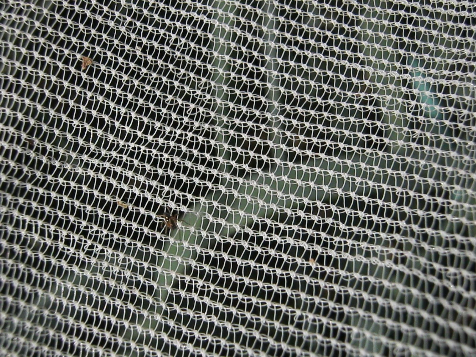 Filet anti-insectes 50g Biotex 800 contre la mouche - à la coupe - Jardinet