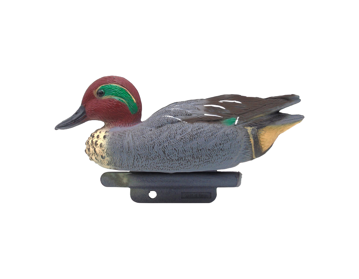 Canard Sarcelle d'hiver décoratif - Jardinet