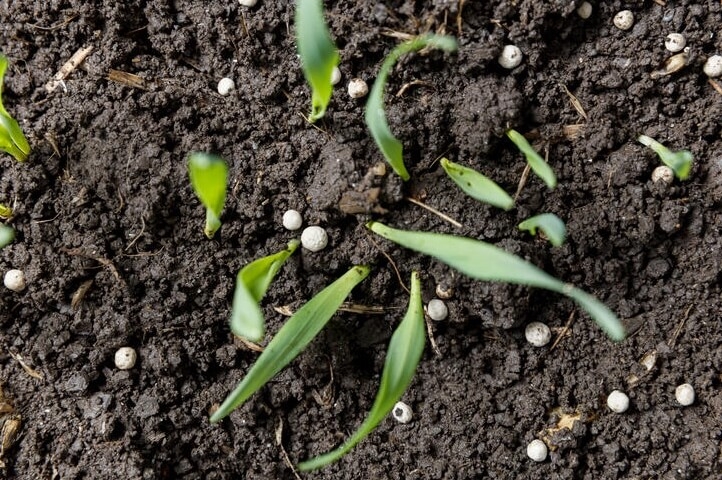 Principes et utilisation de la fertilisation