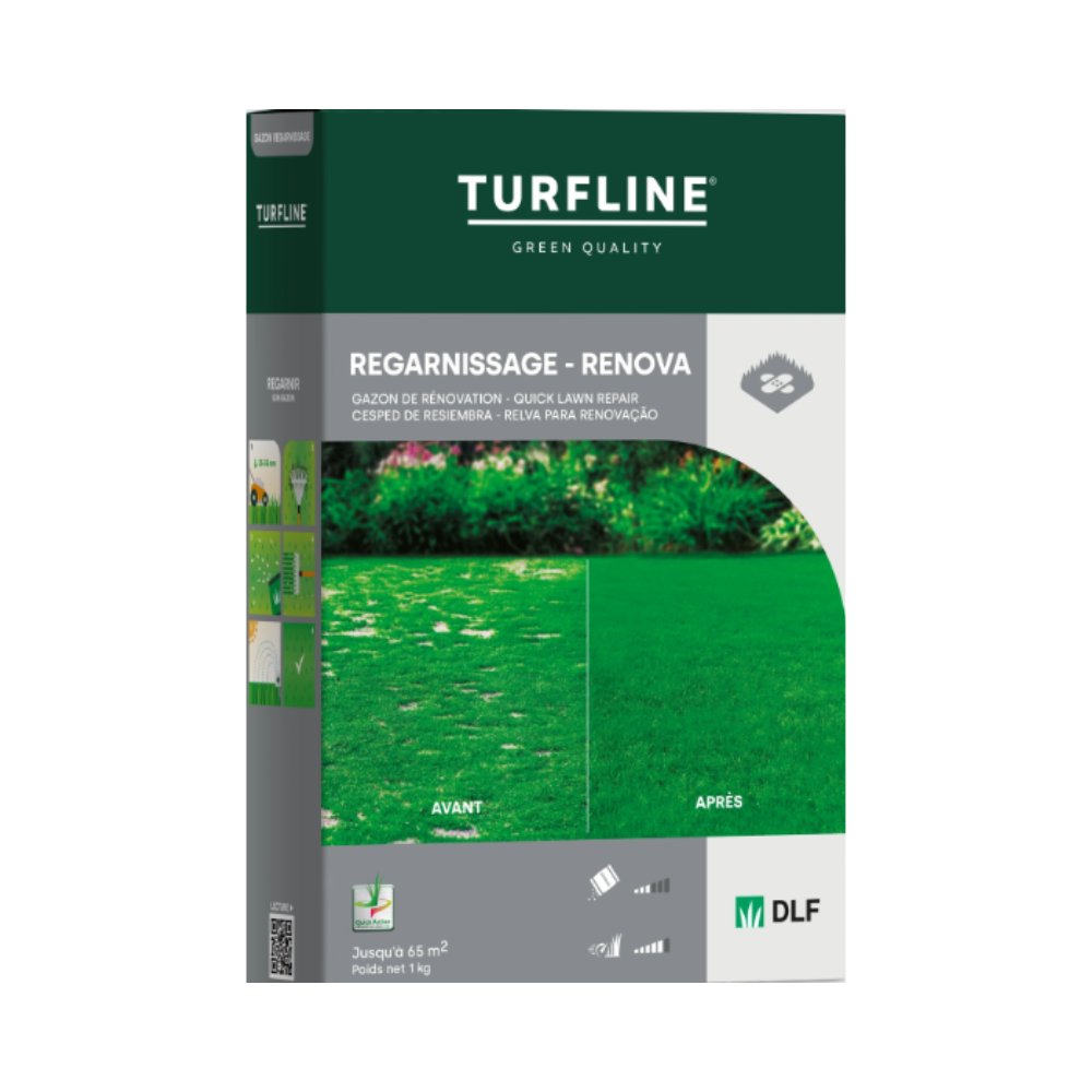 Semence de gazon pour regarnissage - 2,5 kg - jardinet