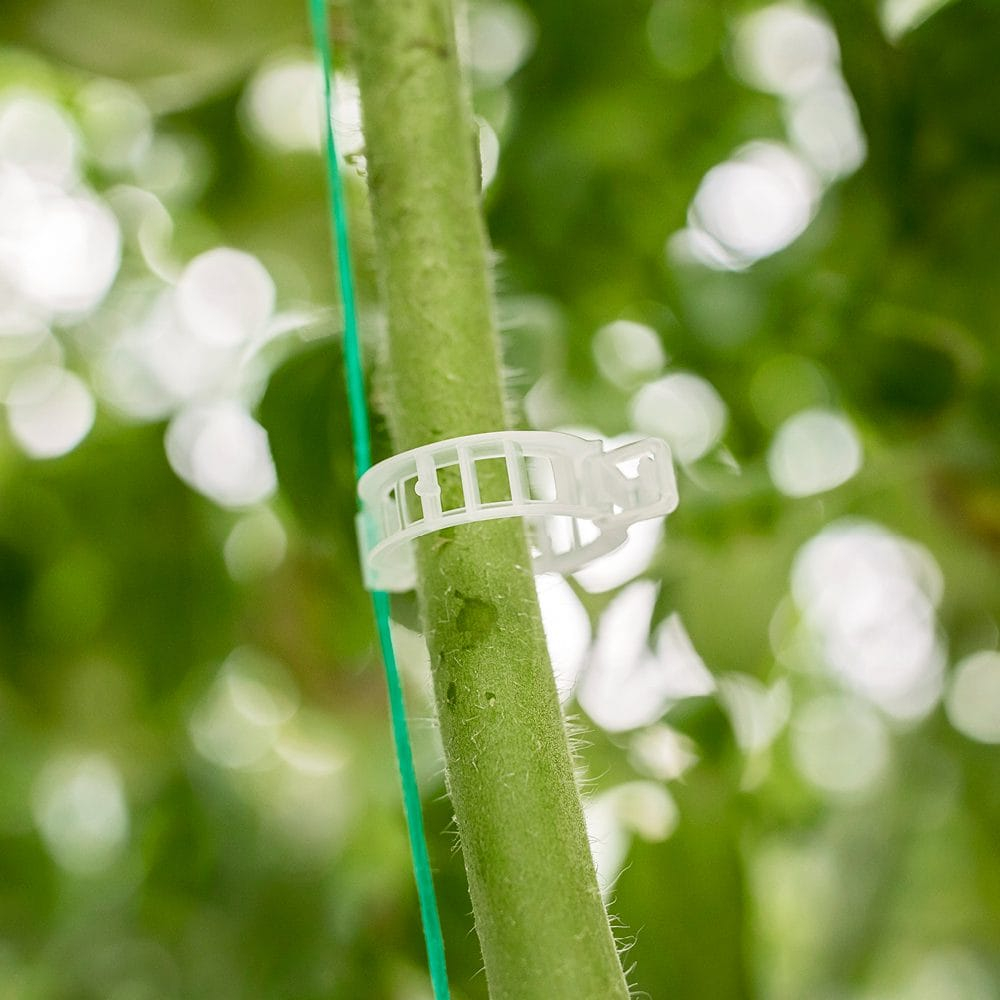Clip biodégradable pour tomates - Ø22mm - Jardinet